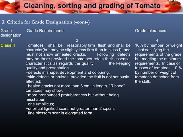 Tomato Grading | PPT | Gardening | Home & Garden