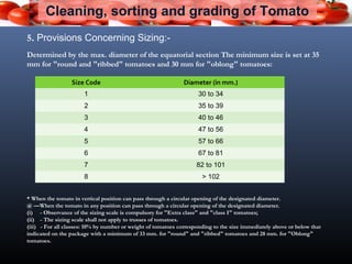 Tomato Grading | PPT