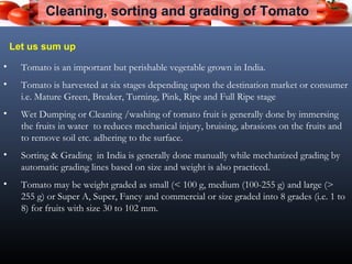 Tomato Grading | PPT