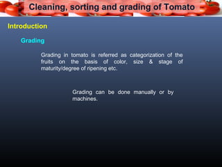 Tomato Grading | PPT
