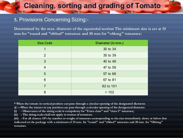 Tomato Grading
