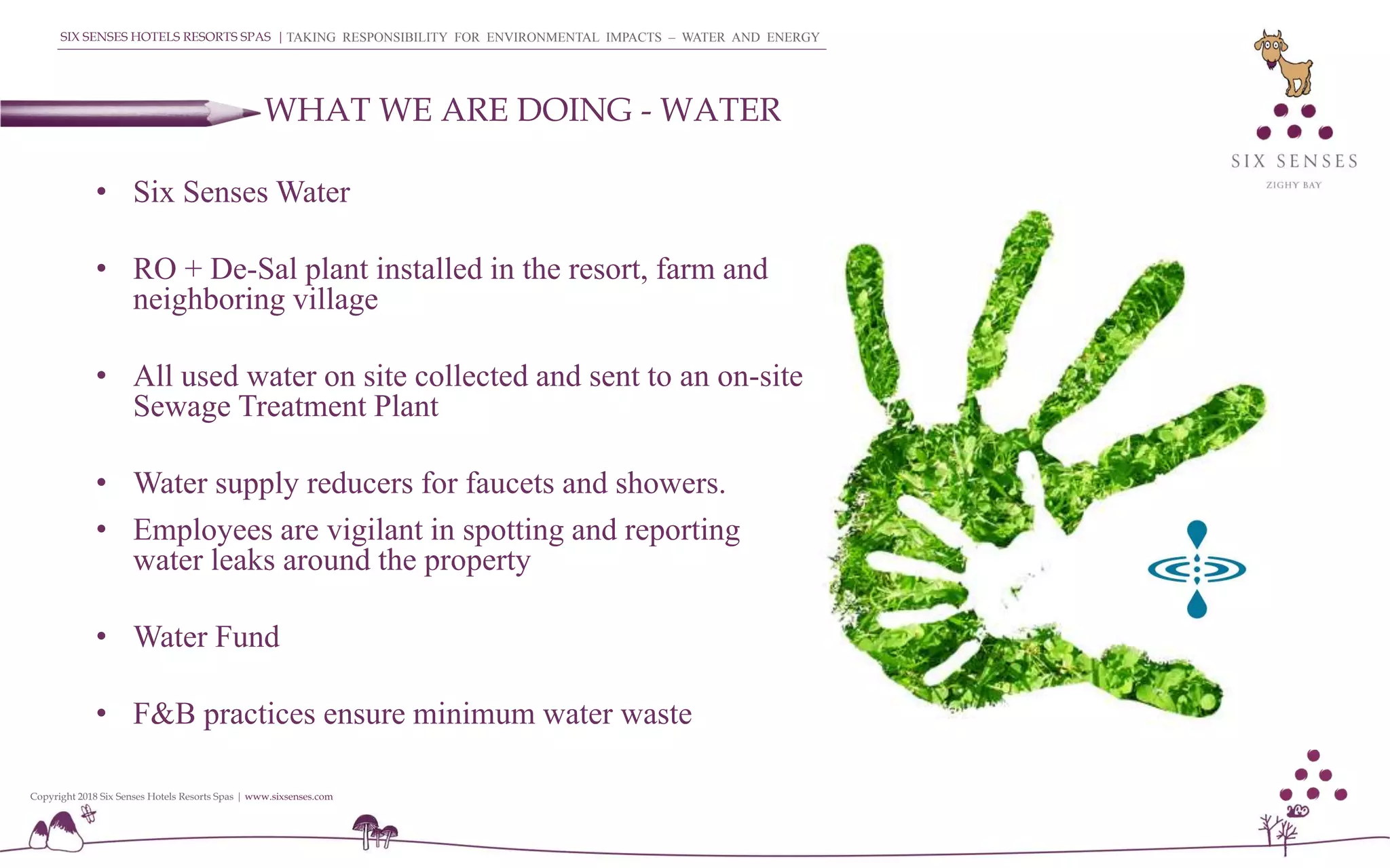 Taking Responsibility for Environmental Impacts - Water and Energy | PPT