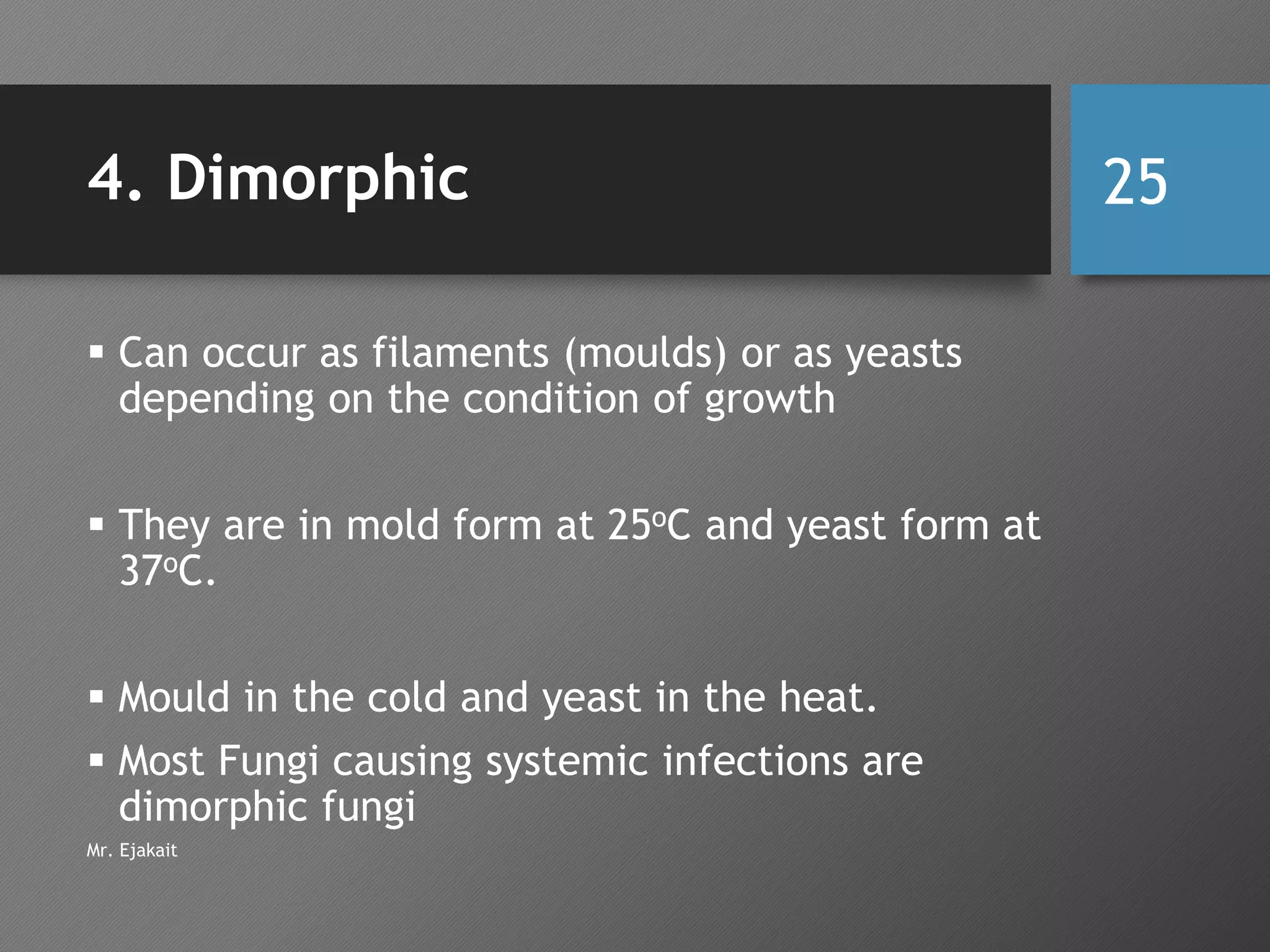 4. Fungi lecture | PPTX
