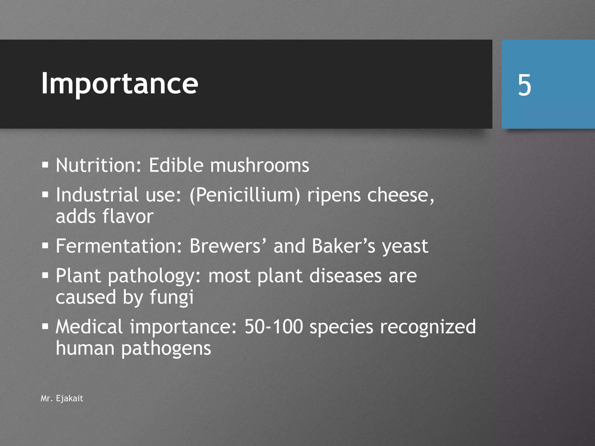 4. Fungi lecture | PPTX