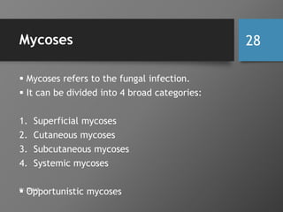 4. Fungi lecture | PPTX
