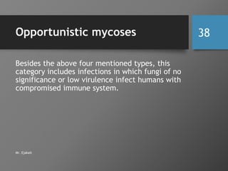 4. Fungi lecture | PPTX