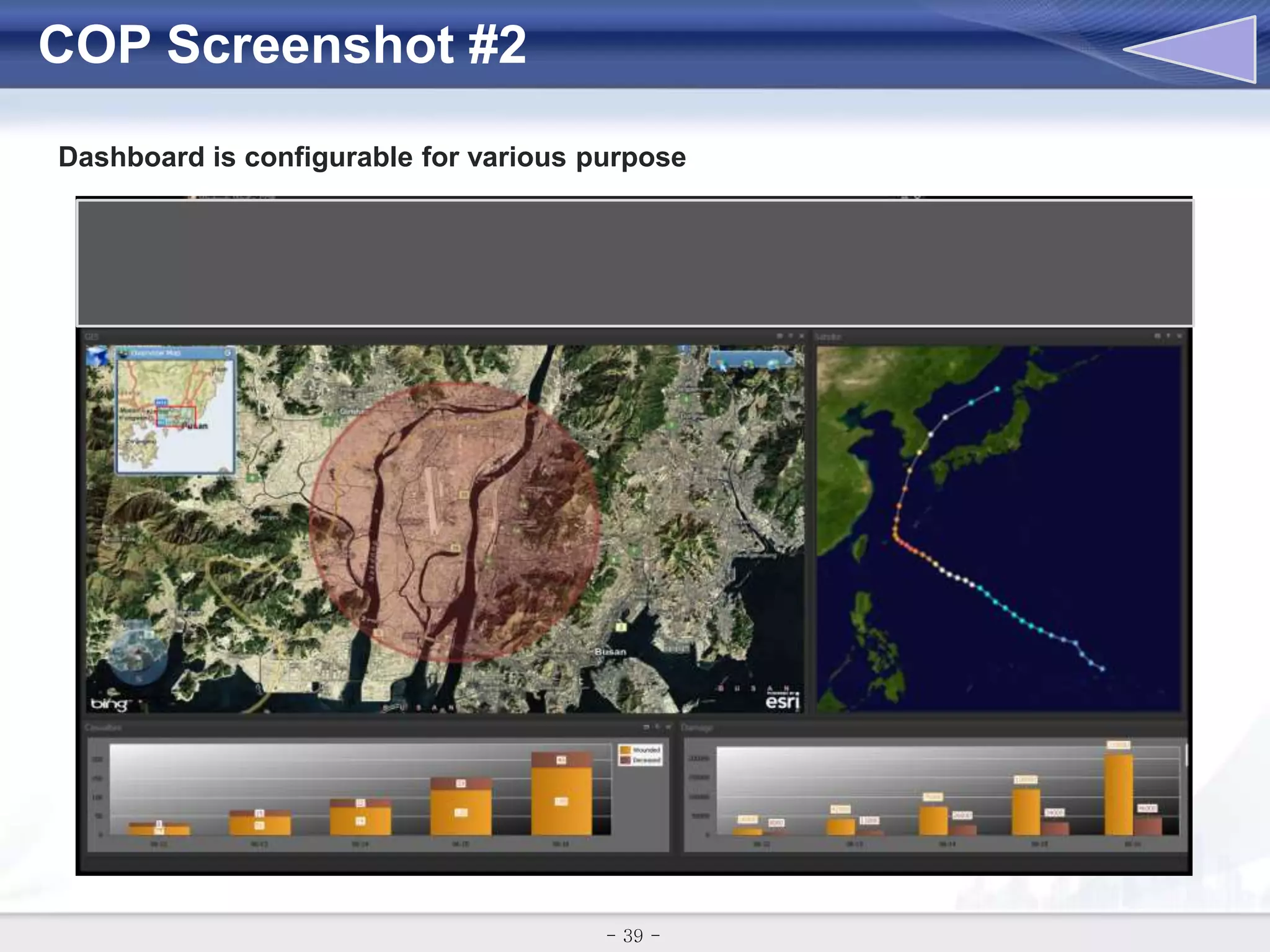 Ubiquitous Safety System For Public Security Ppt