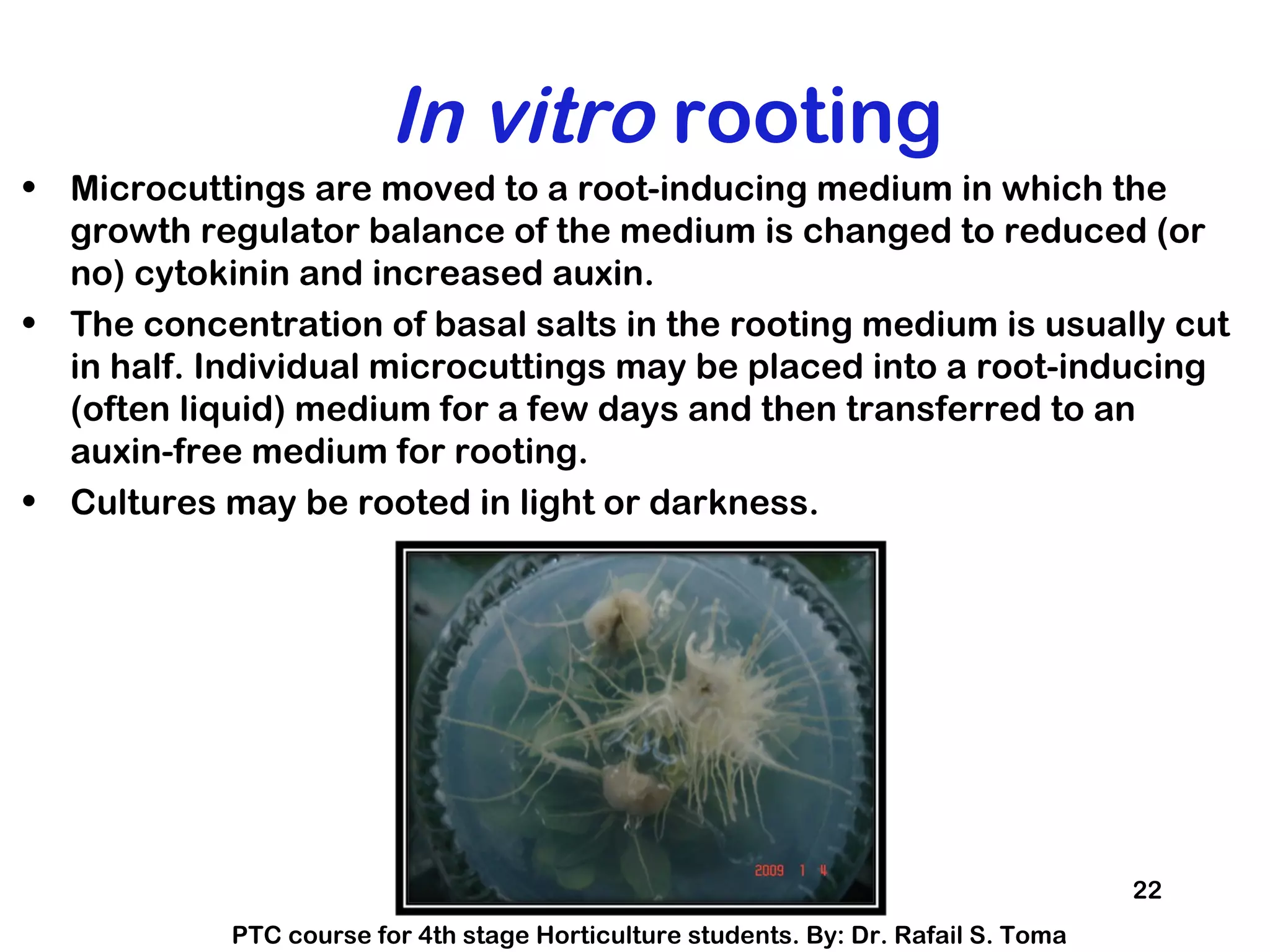 4. developmantal stages of plant micropropagation | PPT