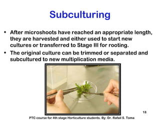 4. developmantal stages of plant micropropagation | PPT