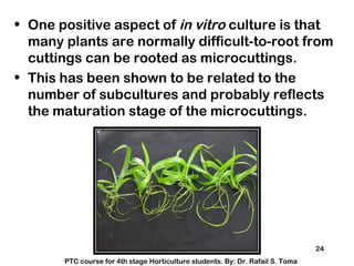 4. developmantal stages of plant micropropagation | PPT