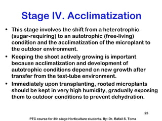 4. developmantal stages of plant micropropagation | PPT