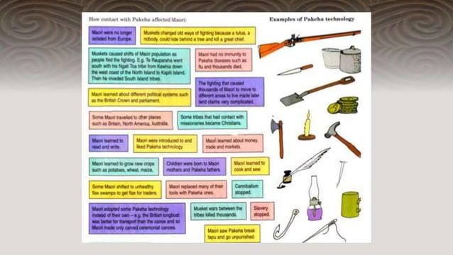 HUMANITIES YEAR 9: PAKEHA AND MAORI SOCIETY | PPTX