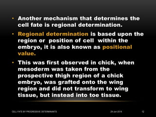 Cell Fate by Progressive Determinants | PPTX