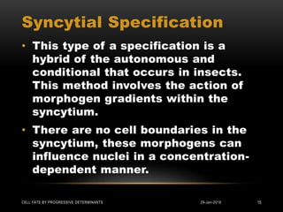 Cell Fate by Progressive Determinants | PPTX