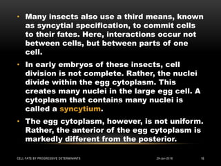Cell Fate by Progressive Determinants | PPTX