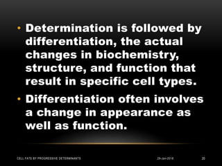 Cell Fate by Progressive Determinants | PPTX