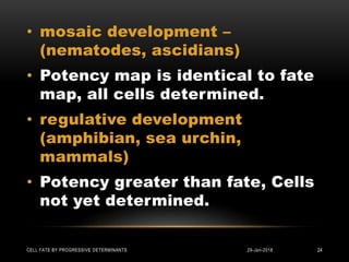 Cell Fate by Progressive Determinants | PPTX