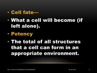 Cell Fate by Progressive Determinants | PPTX