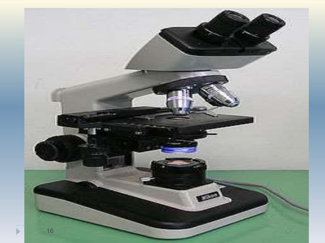 Micromeritics | PPTX | Chemistry | Science