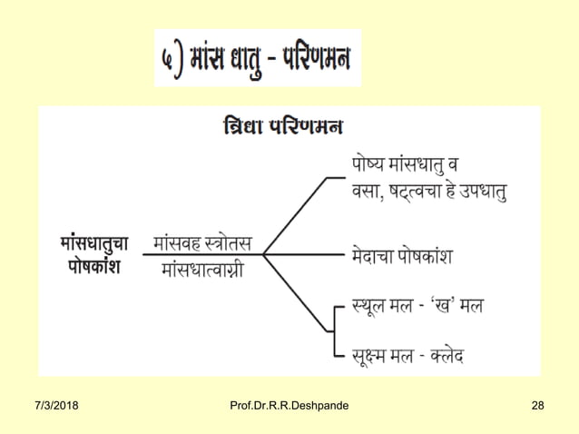 Mansa dhatu -By Prof.Dr.Deshpande | PDF