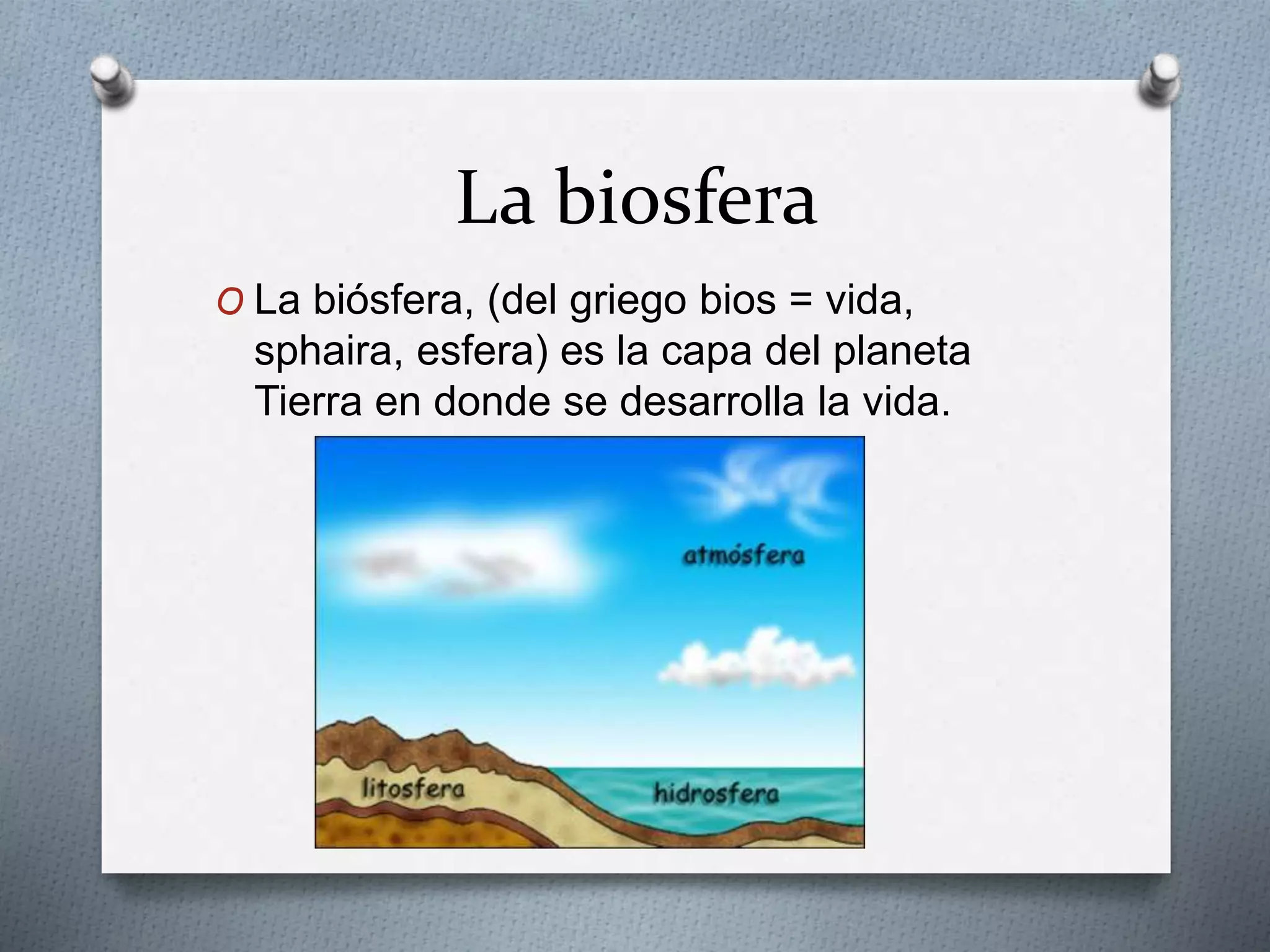 4. los biomas y los ecosistemas | PPTX
