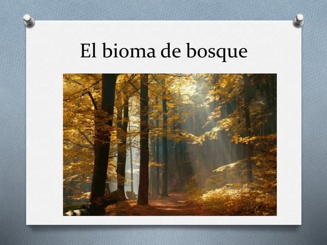 4. los biomas y los ecosistemas | PPTX