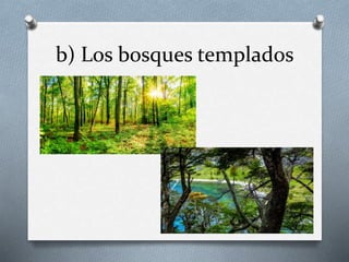 4. los biomas y los ecosistemas | PPTX