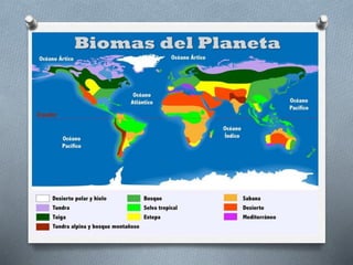 4. los biomas y los ecosistemas | PPTX
