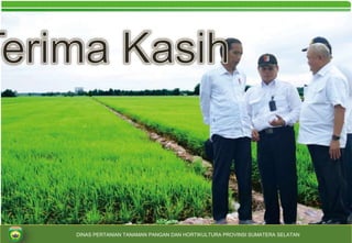 4. bahan dinas pertanian (peragi unsri) new | PPTX