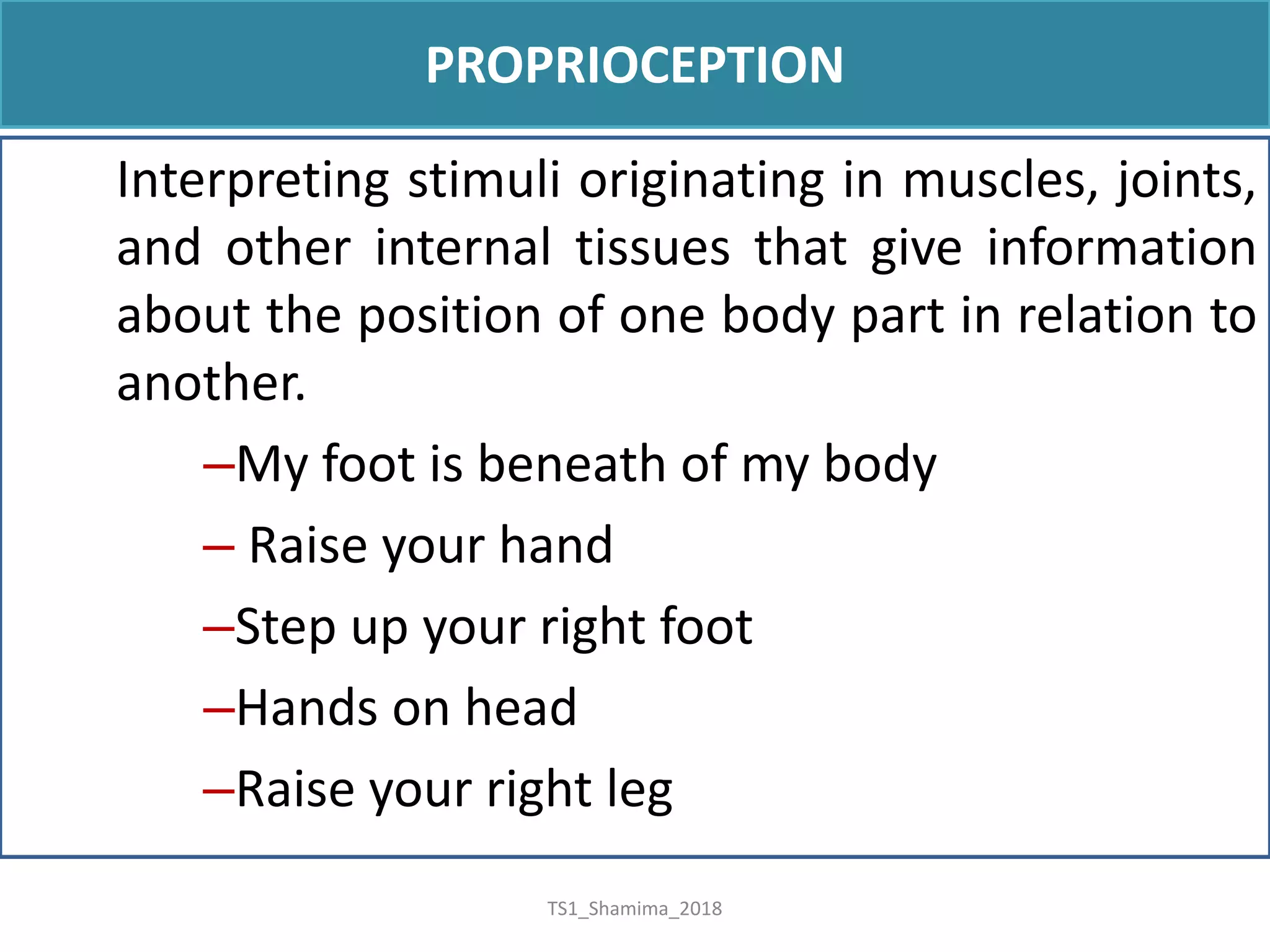 sensory component | PPTX