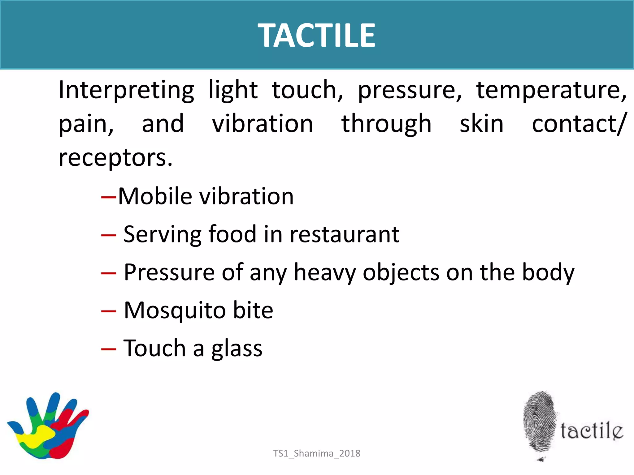 sensory component | PPTX