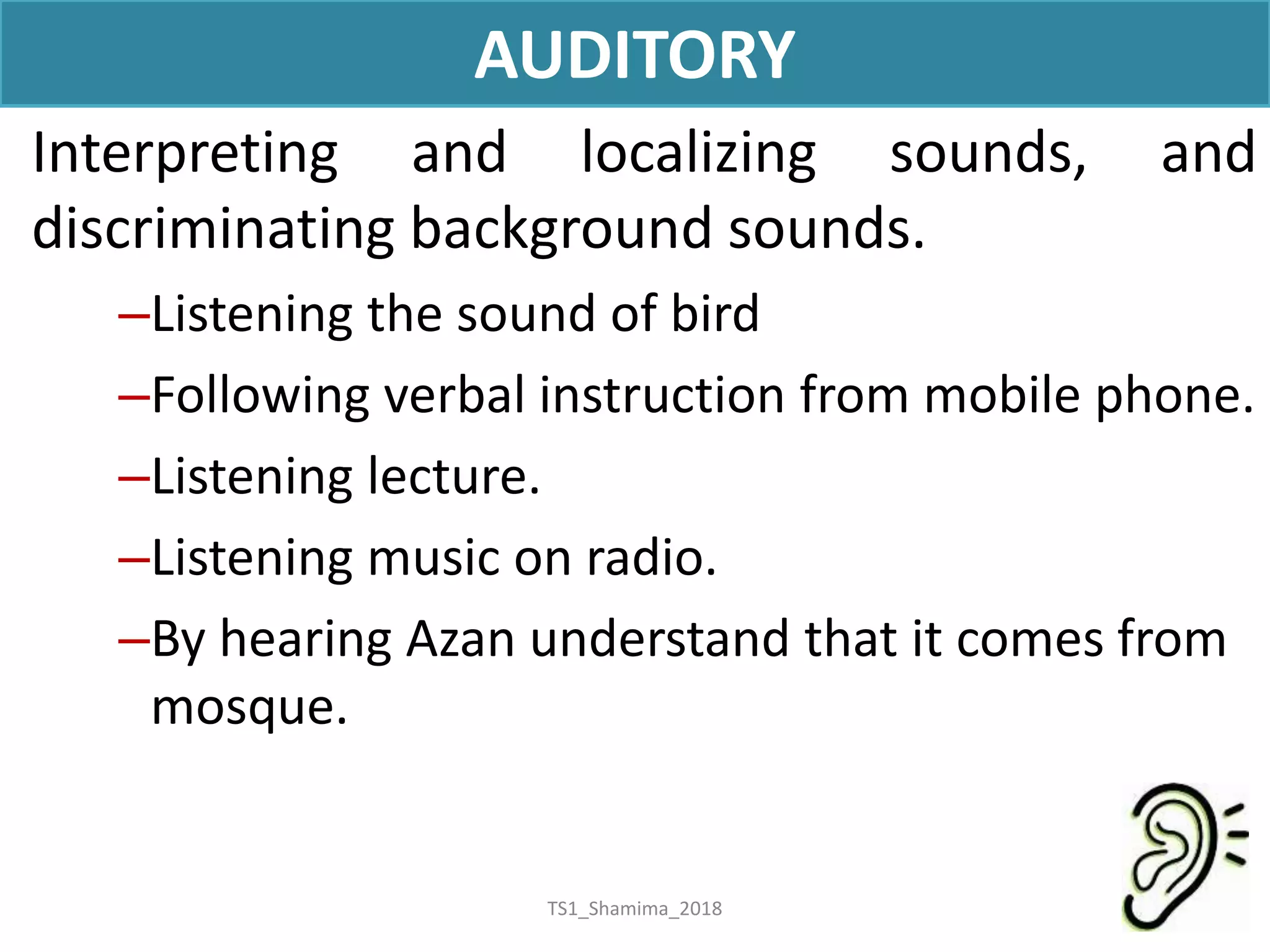 sensory component | PPTX