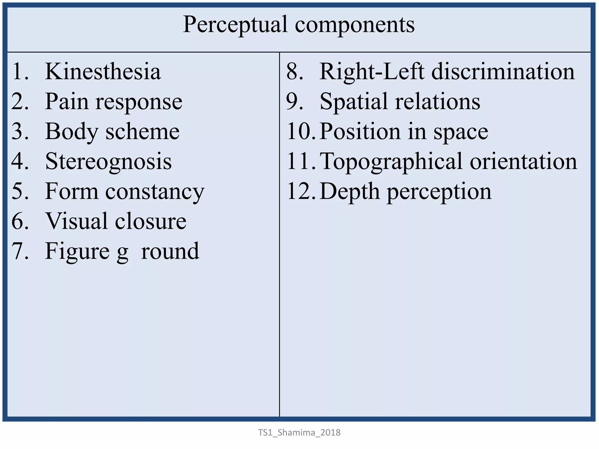 perceptual component | PPT