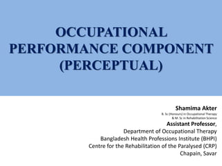 perceptual component | PPT