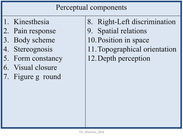 perceptual component | PPT