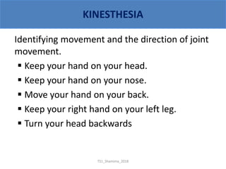perceptual component | PPT
