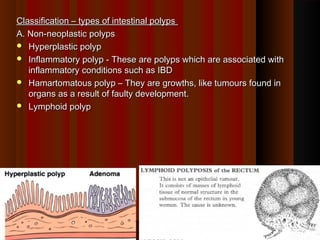 4.intestine2 | PPT