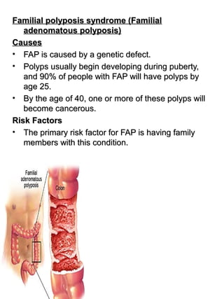 4.intestine3 | PPT