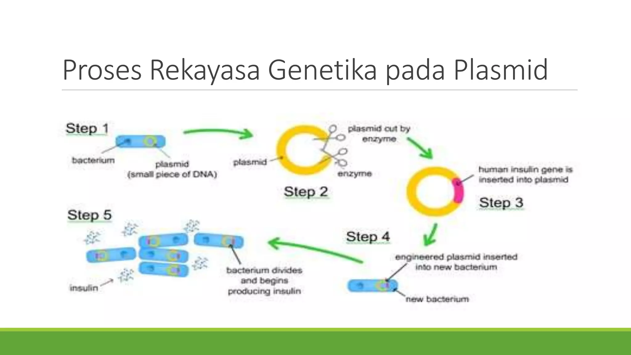 Genetika Mikroba | PPTX