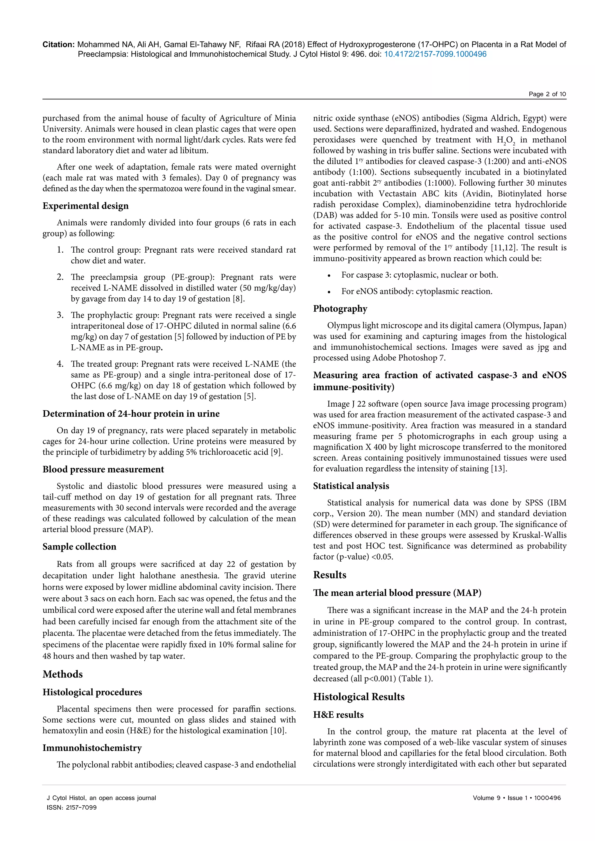 4. effect of-hydroxyprogesterone-17ohpc-on-placenta-in-a-rat-model-ofpreeclampsia-histological ...