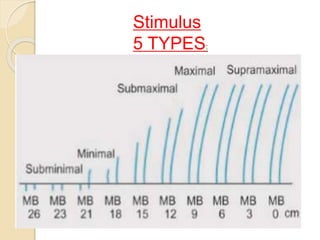 ACTION POTENTIAL BY DR QAZI IMTIAAZ RASOOL | PPT