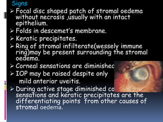 4.fungal and viral keratitis | PPTX
