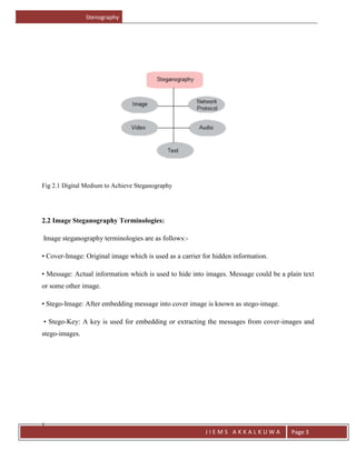 4.content (stenography) | PDF