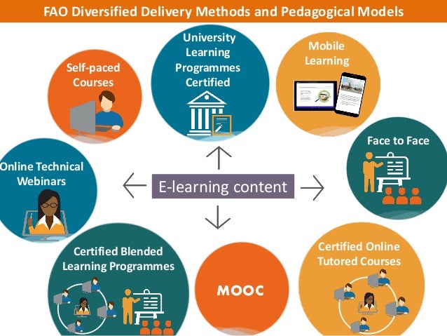 Cristina Petracchi, FAO eLearning Team Leader - Partnerships and Sout…