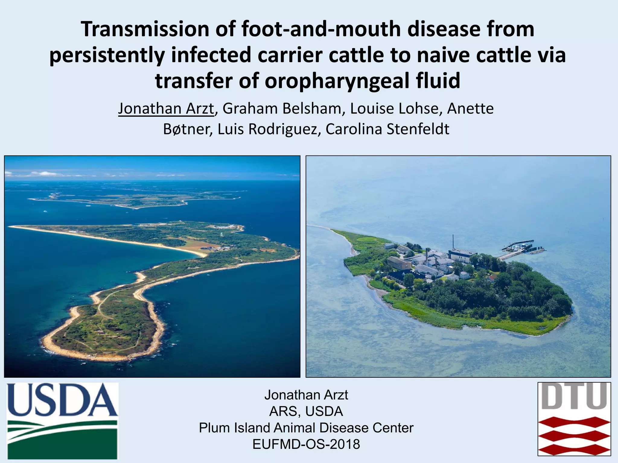 Transmission of foot-and-mouth disease from persistently infected ...