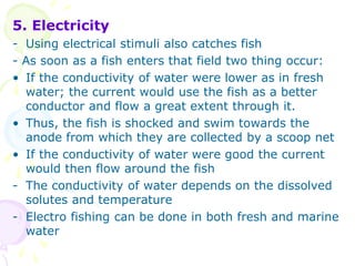Fish Location and Detection | PPTX