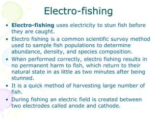 Fish Location and Detection | PPTX