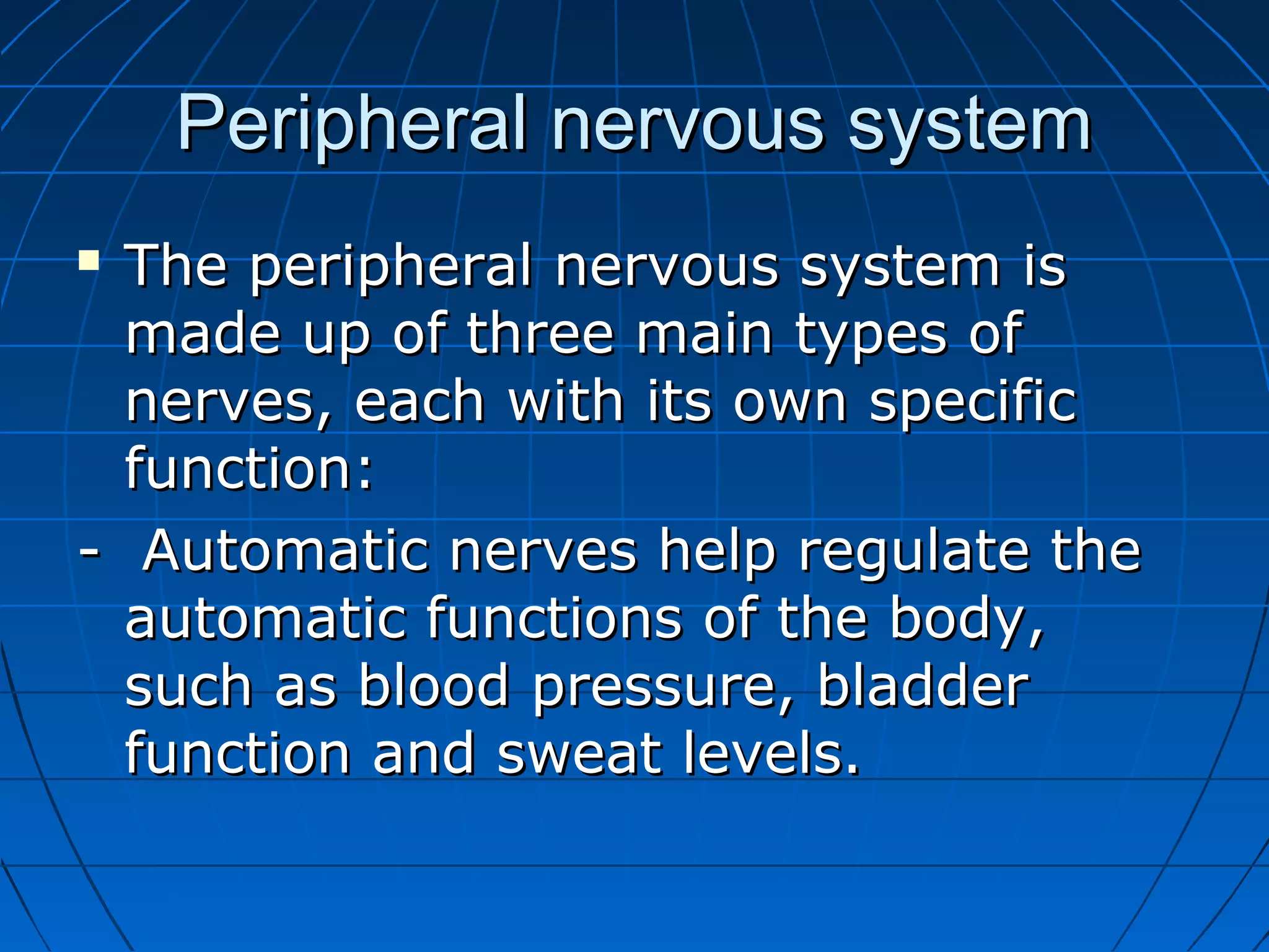 4. peripheral neuropathy | PPT