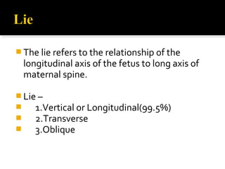 lie presentation-1 | PPT