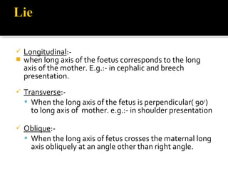 lie presentation-1 | PPT